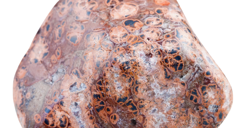 Leopard Skin Jasper Meaning: Healing Properties, Benefits and Uses